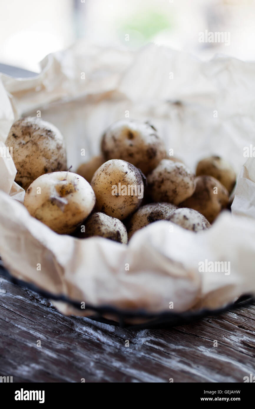 Homegrown freshly picked small potatoes Stock Photo - Alamy