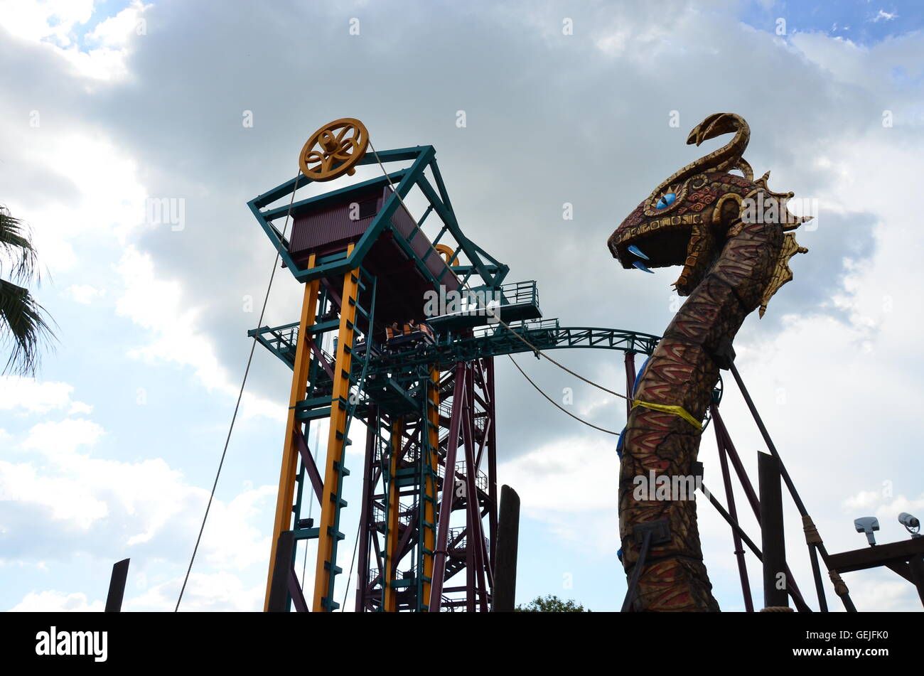 Busch gardens tampa cobras curse hi-res stock photography and images ...