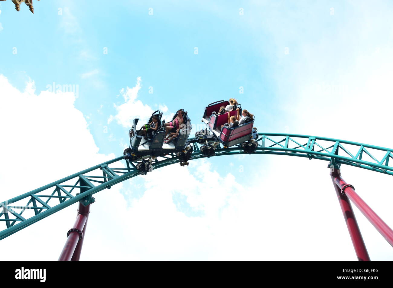 Cobra's Curse spin coaster at Busch Gardens Tampa Florida, the only one ...
