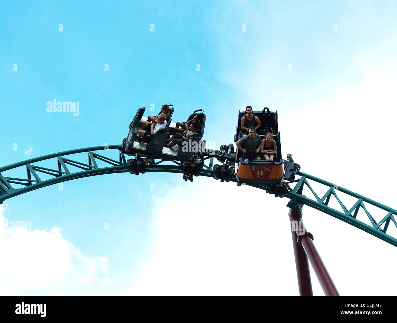 Busch gardens tampa cobras curse hi-res stock photography and images ...