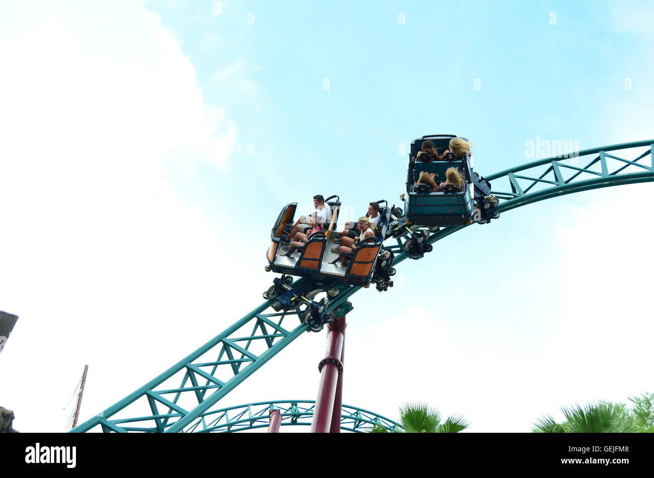 Busch gardens cobras curse hi-res stock photography and images - Alamy