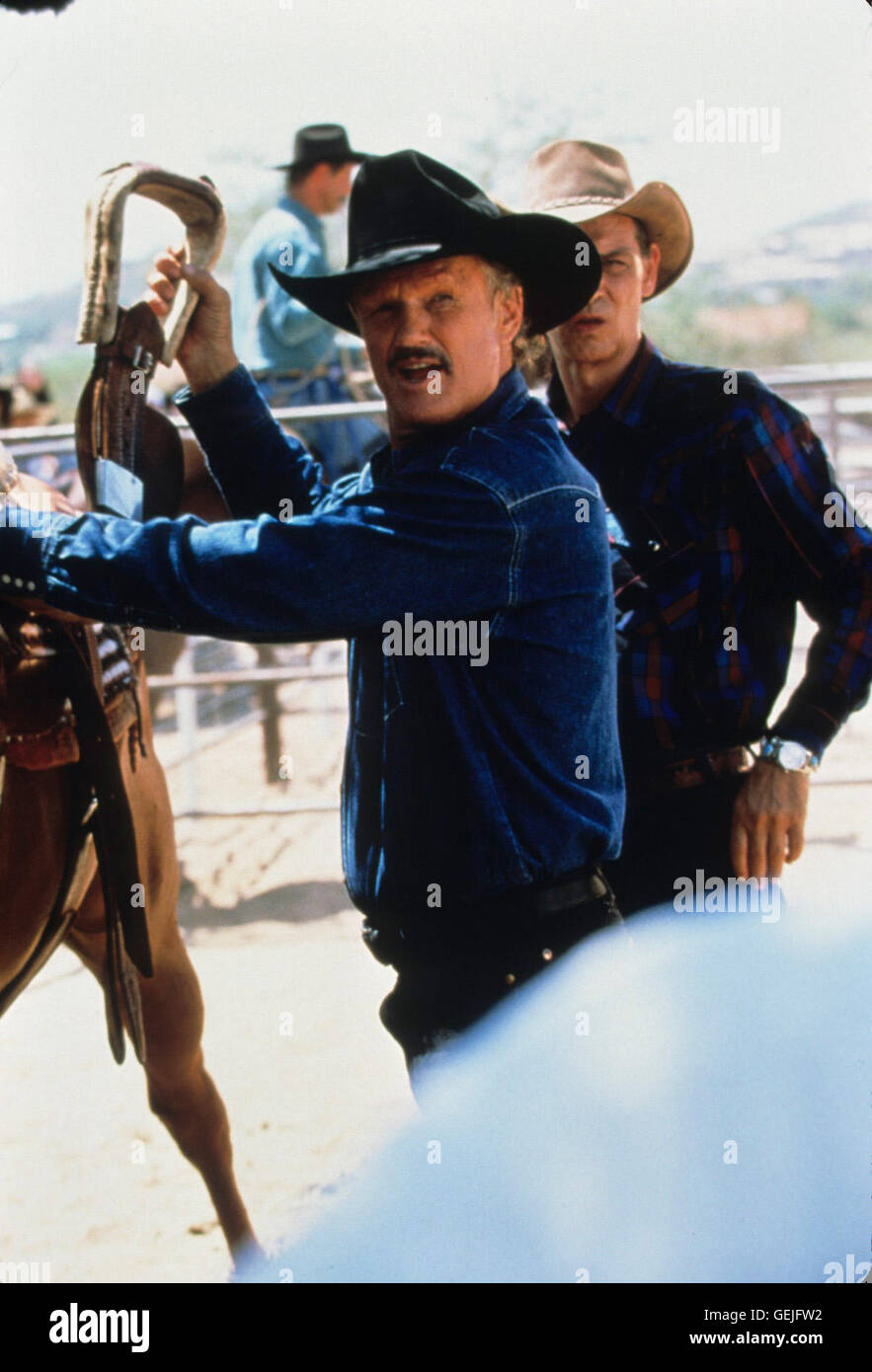 Blue rodeo hi-res stock photography and images - Alamy