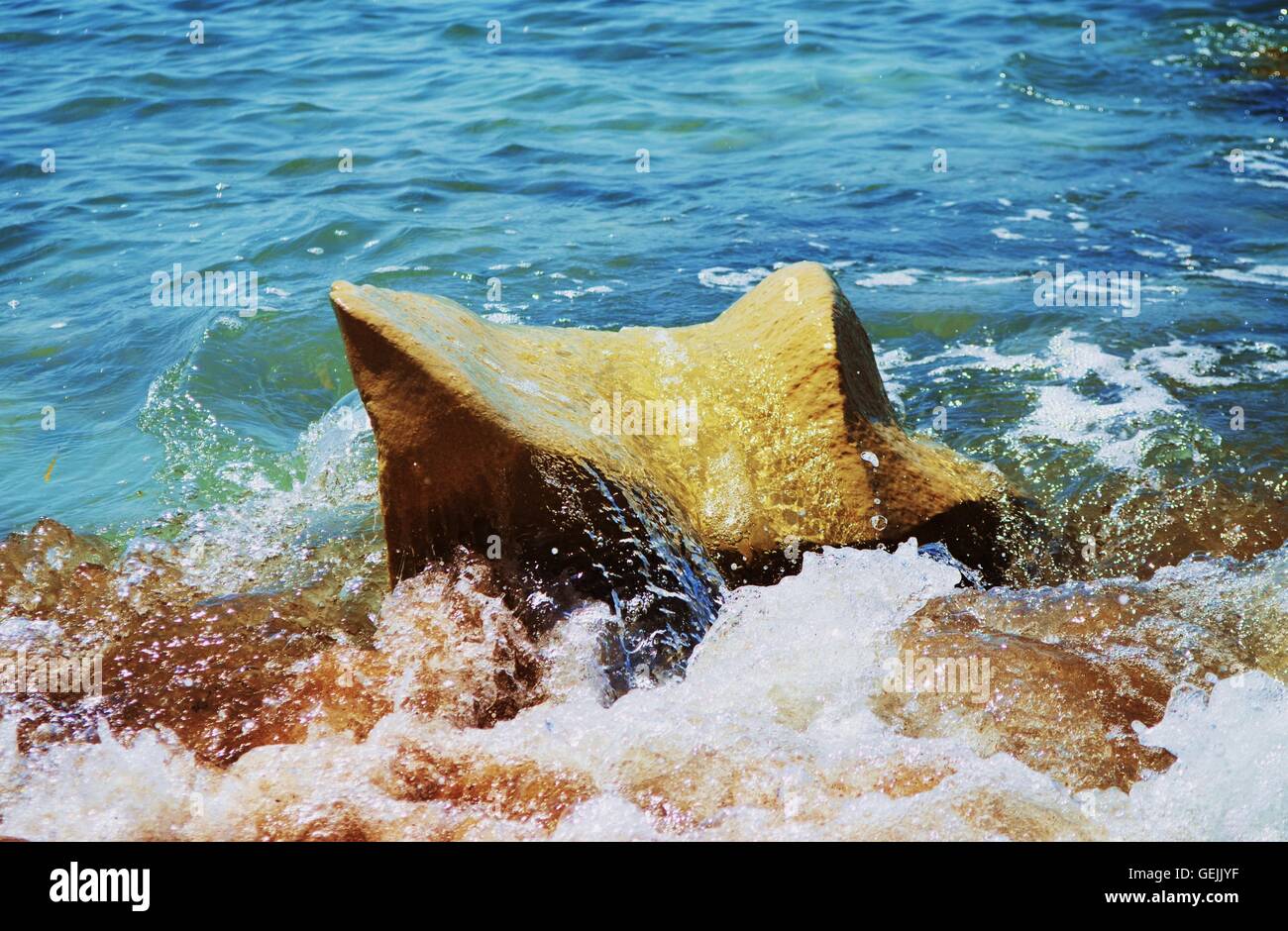 Streamlined shape hi-res stock photography and images - Alamy