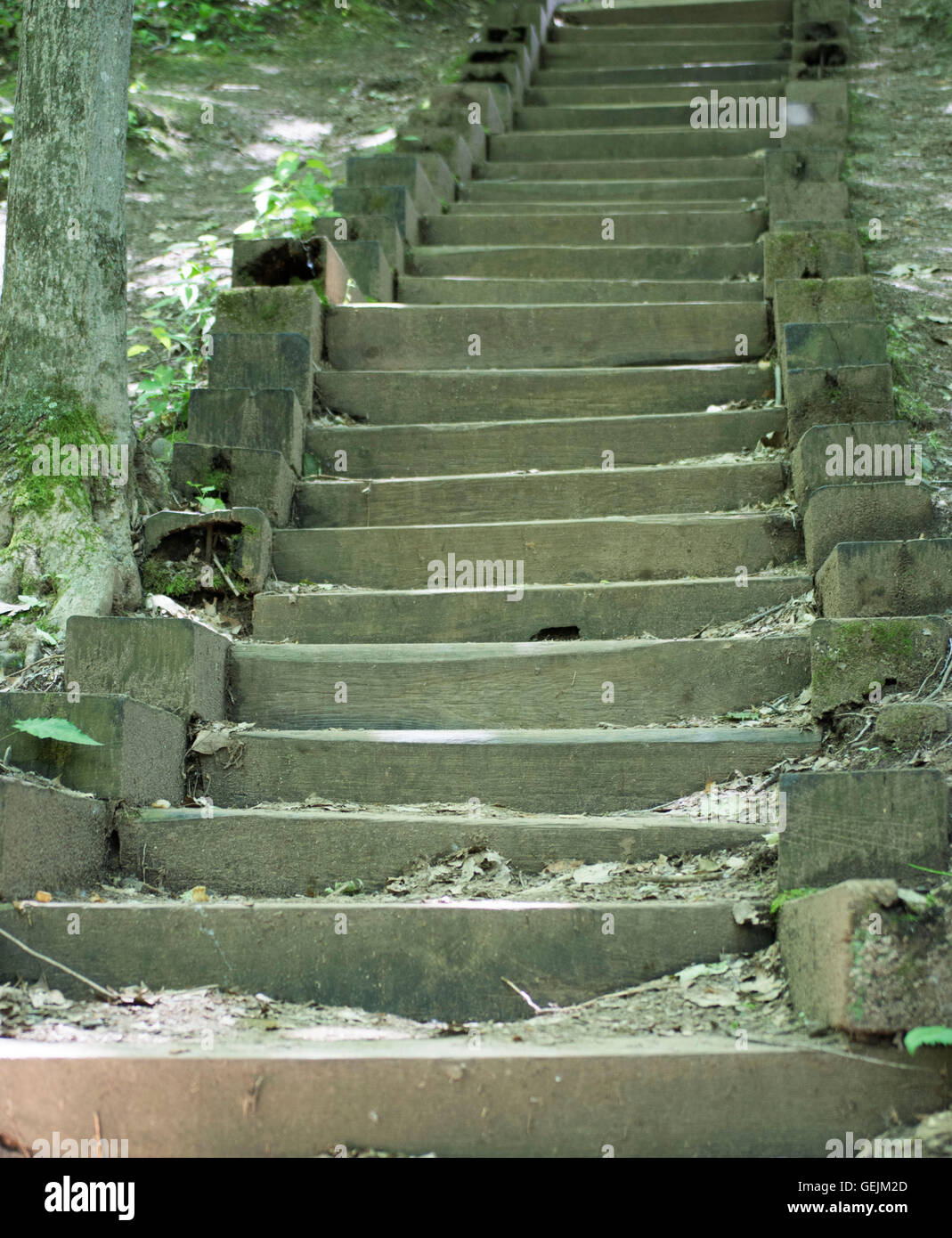 Stairs path in the park Stock Photo - Alamy