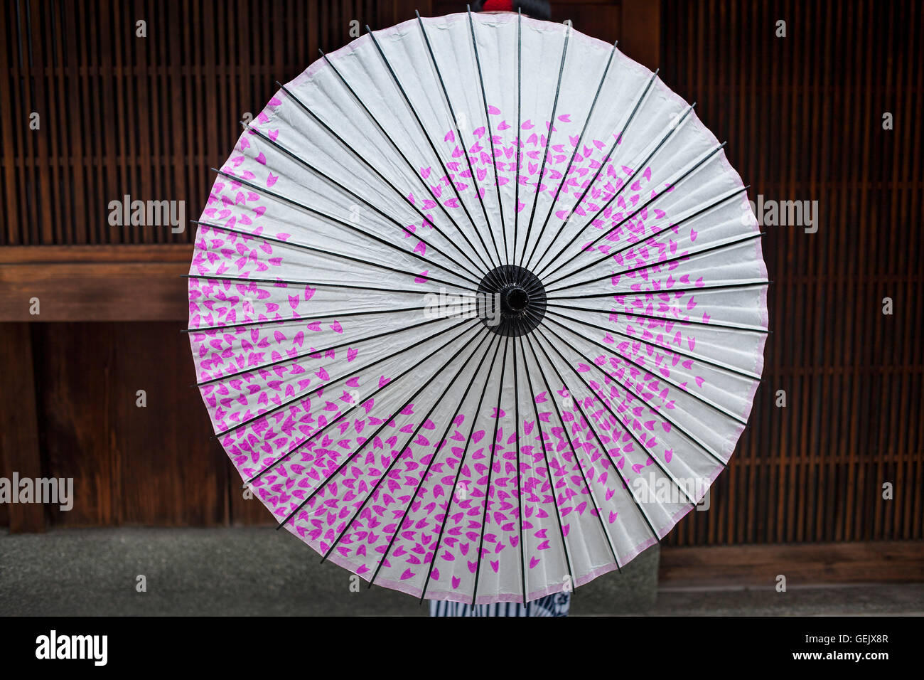 'maiko' (geisha apprentice) in geisha's distric of Miyagawacho.Kyoto ...