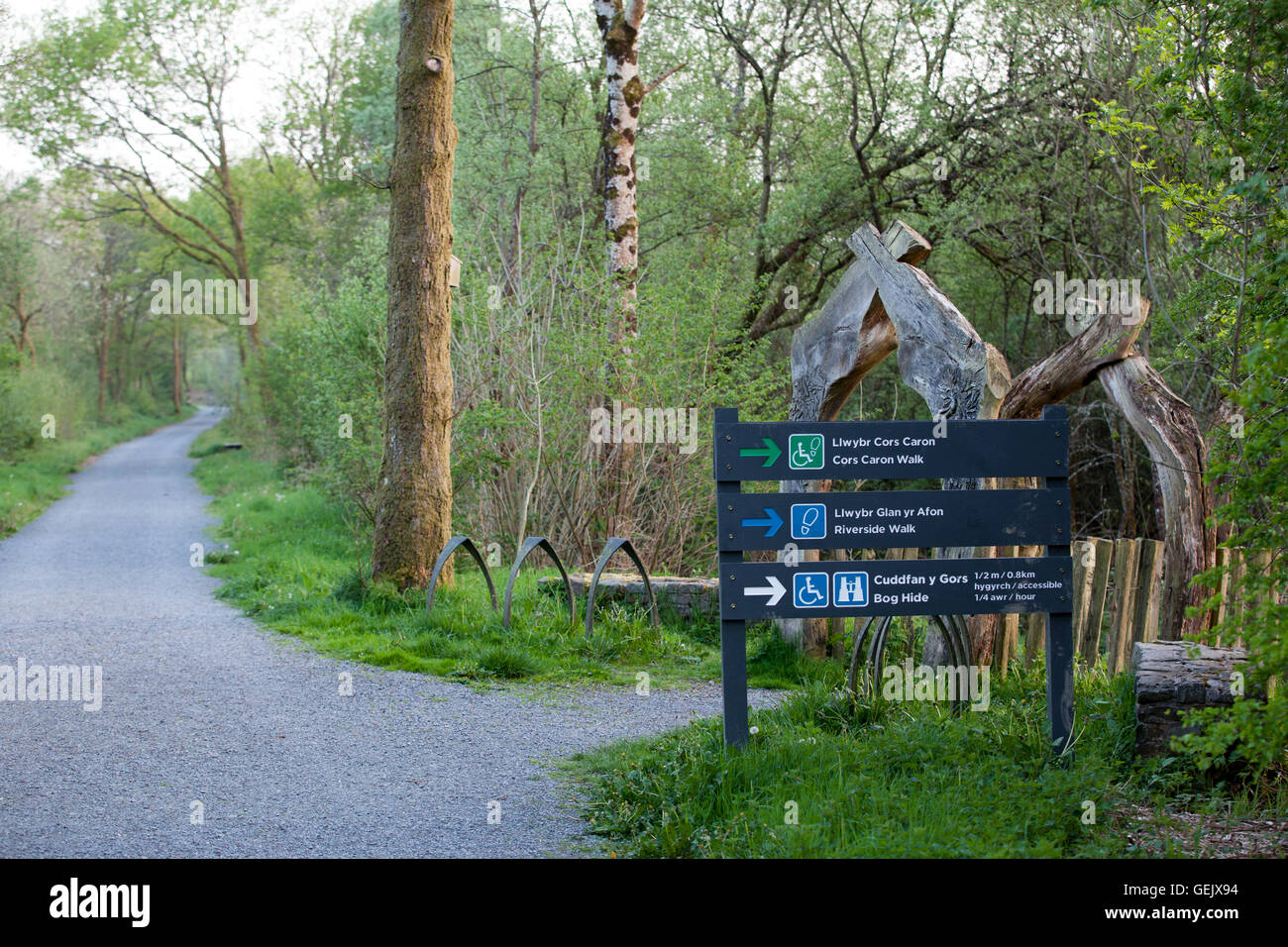 Cors Caron National Nature Reserve near Tregaron, Central Wales Stock ...