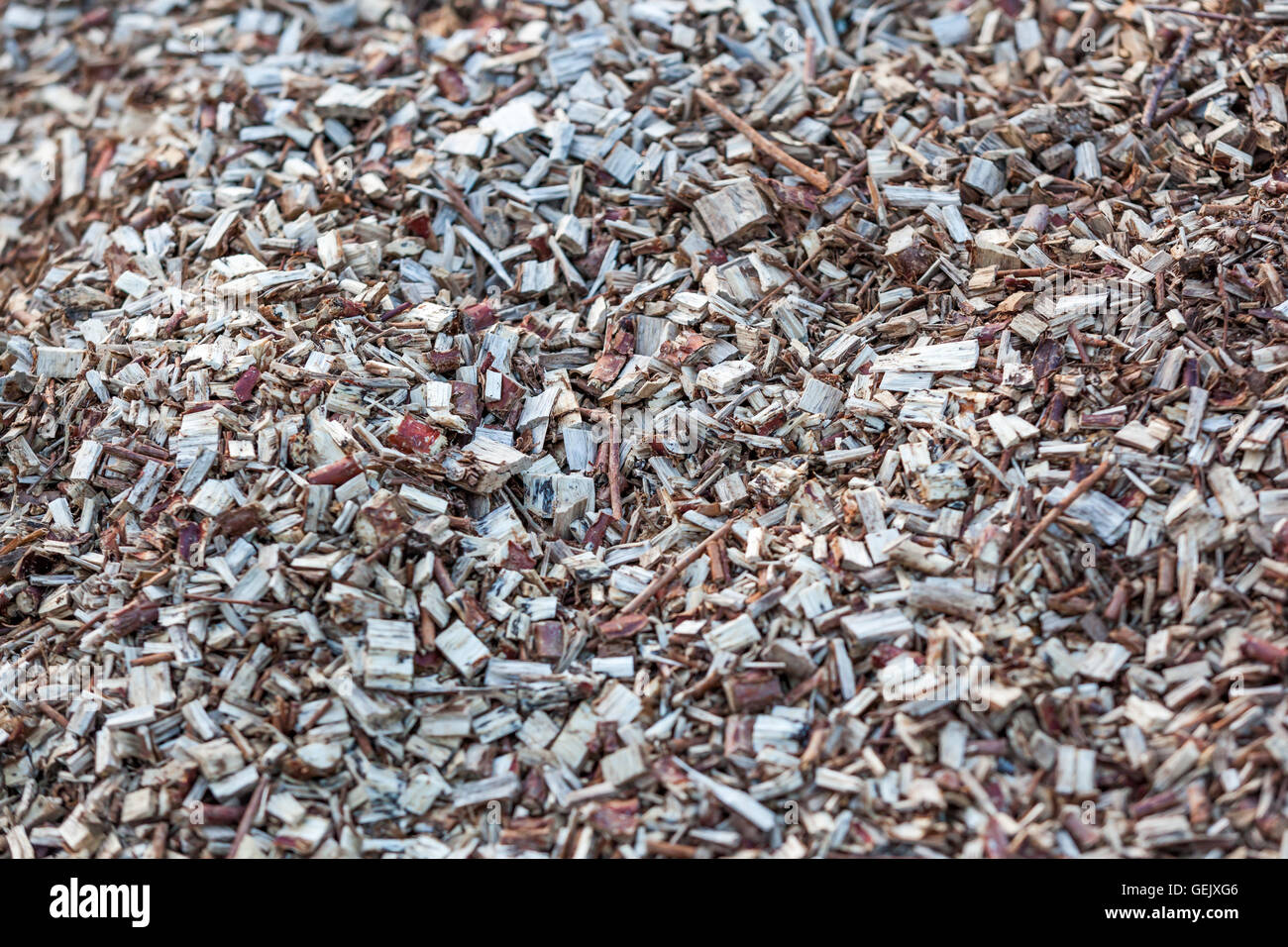 A close up photograph of wood chippings Stock Photo - Alamy