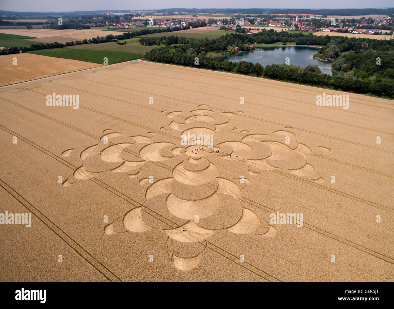 Mammendorf, Germany. 26th July, 2016. Interested parties roam crop ...
