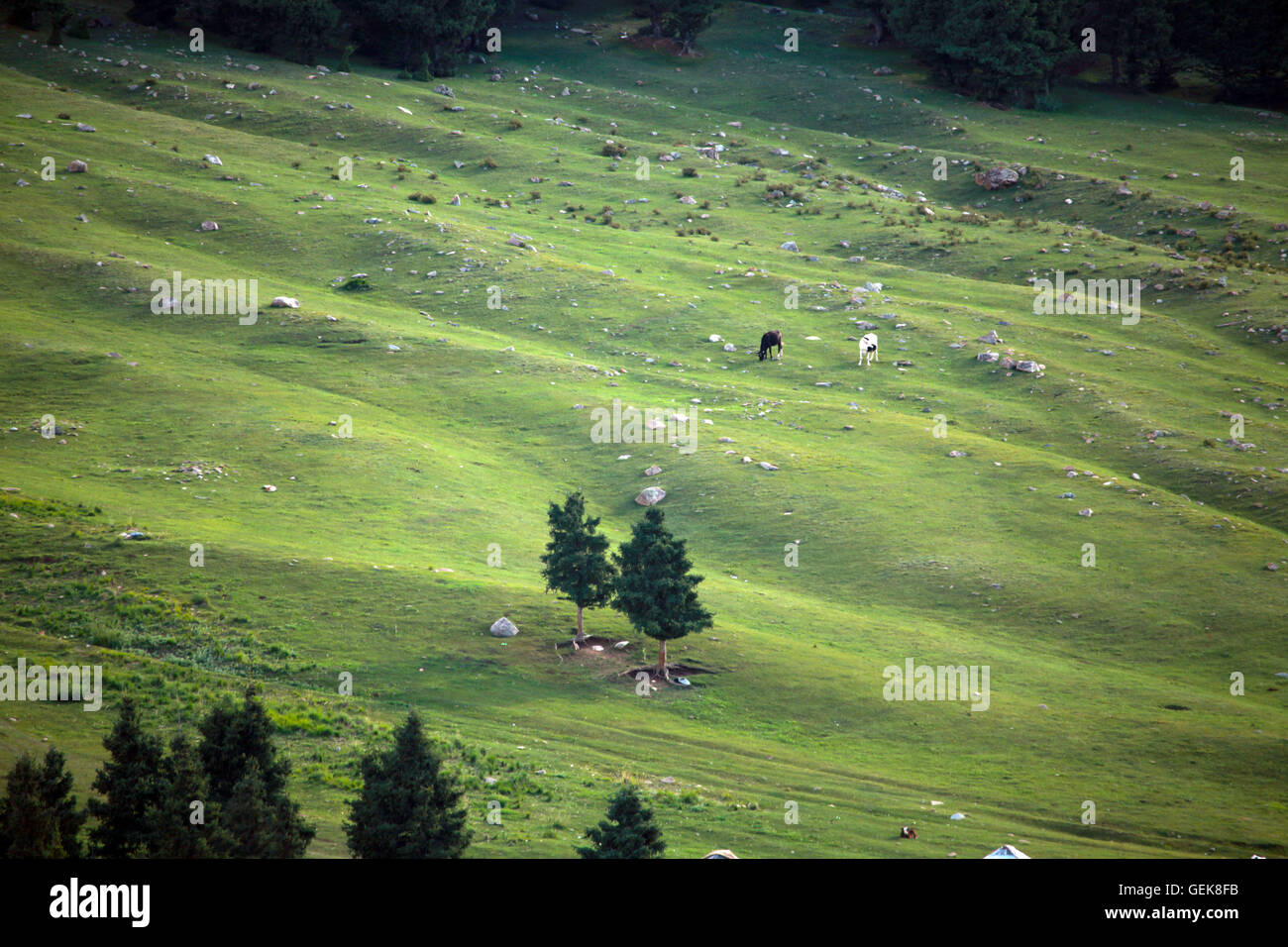 Balikin, Balikin, China. 27th July, 2016. Balikun, China - July 23 2016 ...