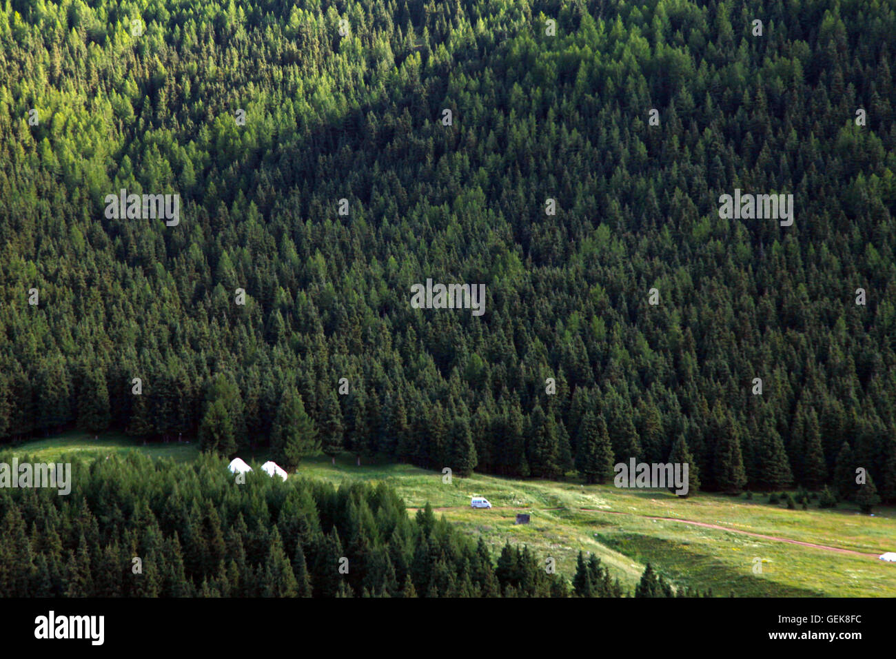 Balikun grassland hi-res stock photography and images - Alamy