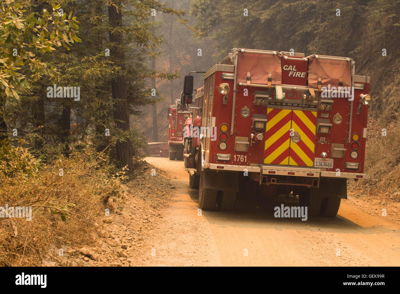 Palo blanco hi-res stock photography and images - Alamy