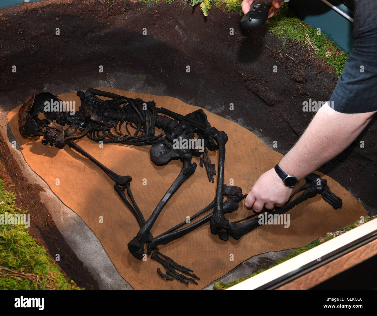 Emden, Germany. 27th July, 2016. The restored bogman 'Mann von ...