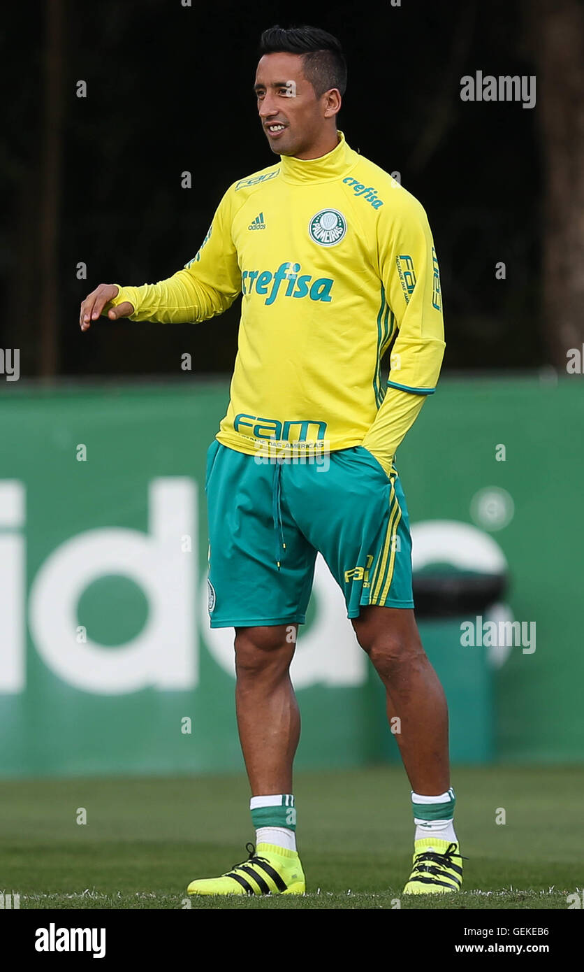 The player Lucas Barrios, the SE Palmeiras, during training, the ...
