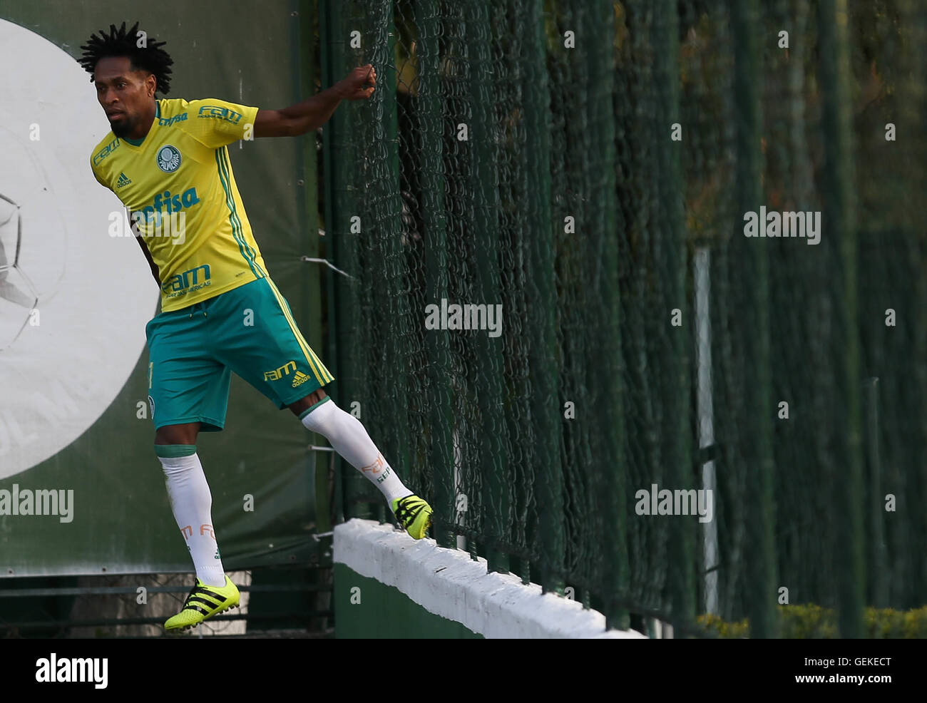 Zé roberto palmeiras hi-res stock photography and images - Alamy
