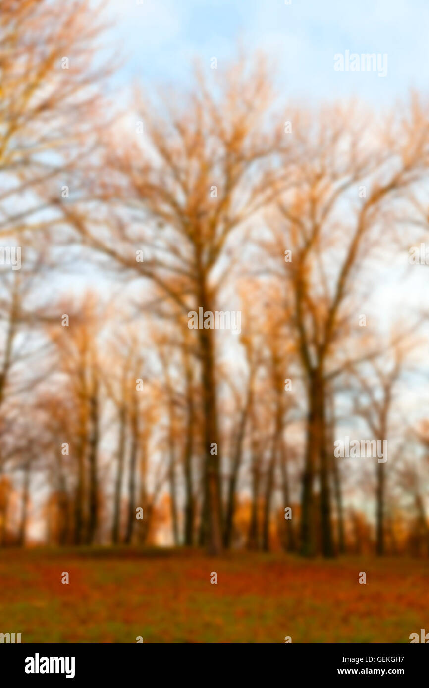 Park at sunset Stock Photo - Alamy