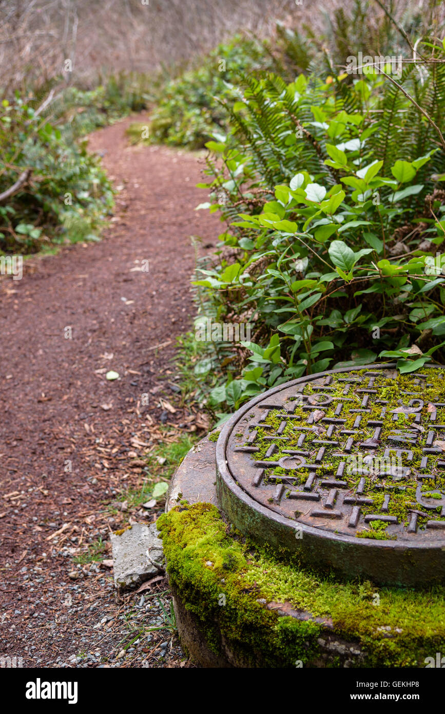 Sewer manhole entry next to walking trail in the woods Stock Photo - Alamy