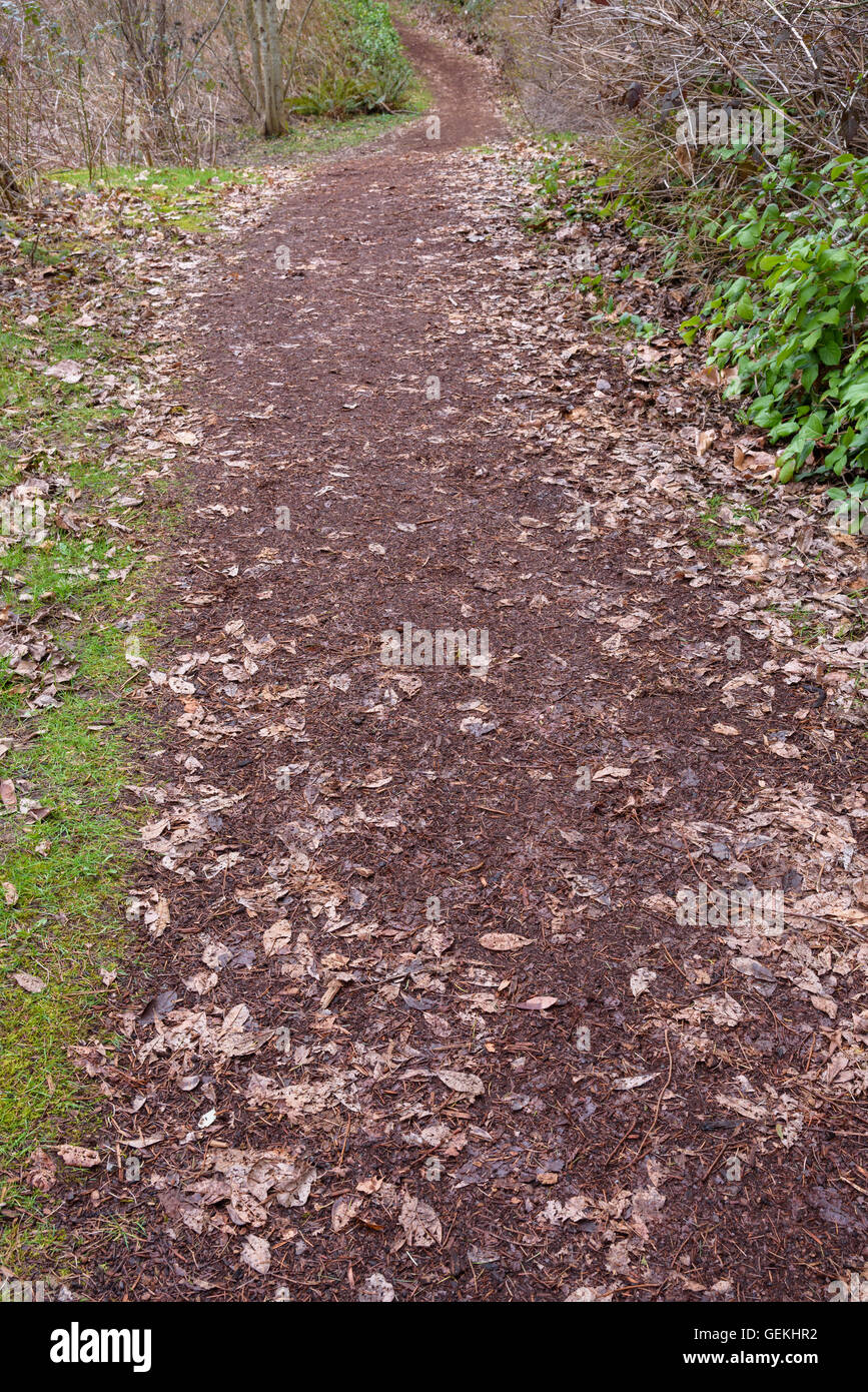 Winding ground barked path through a park Stock Photo - Alamy