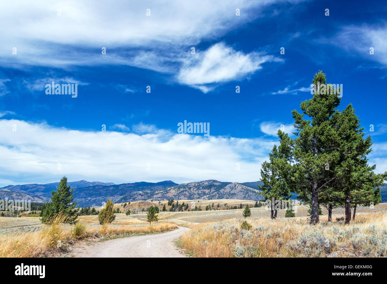 Yellowstone road hi-res stock photography and images - Alamy