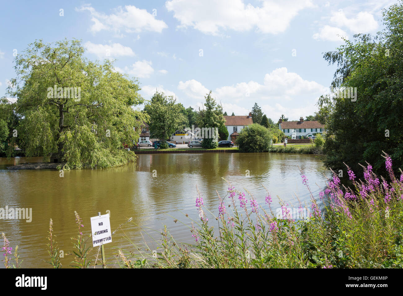Pirbright green pirbright surrey england hi-res stock photography and ...