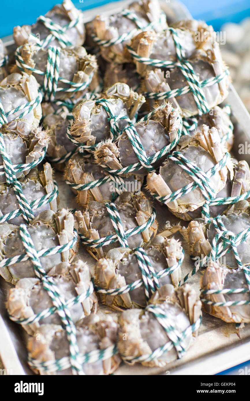 Group of hairy people hi-res stock photography and images - Alamy