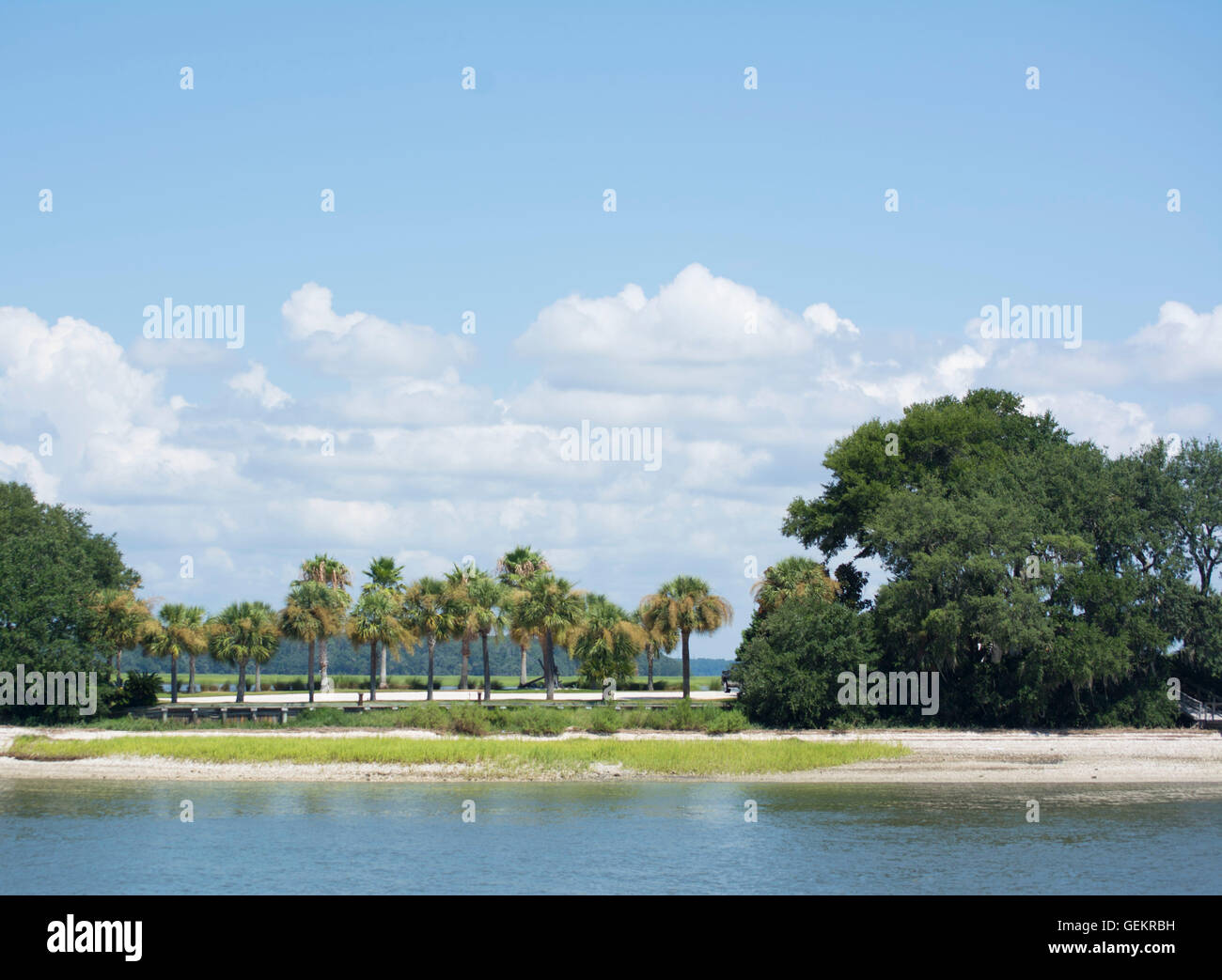 Shore line with palm trees Stock Photo - Alamy