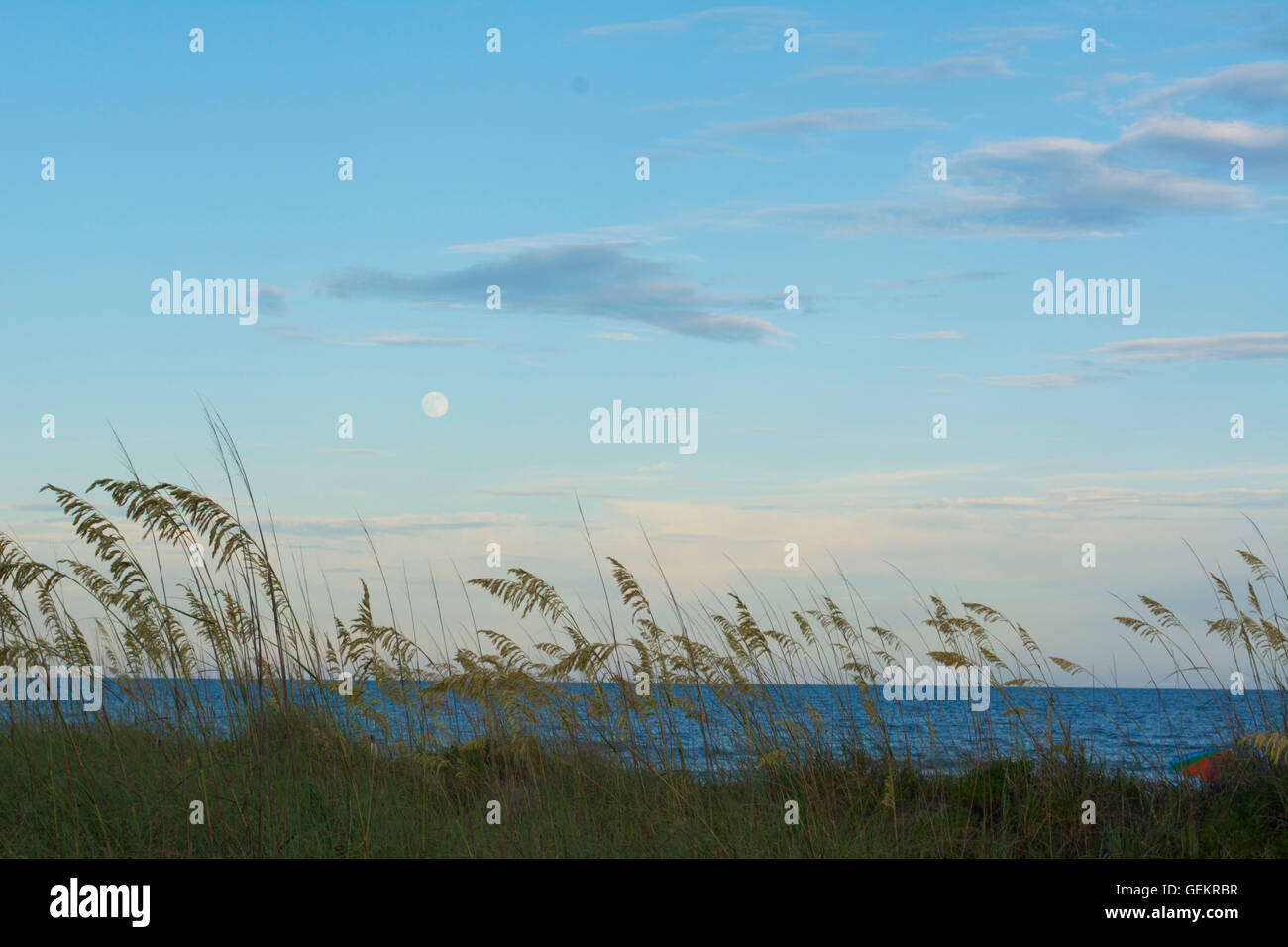 Full moon on the blue sky over the ocean Stock Photo - Alamy