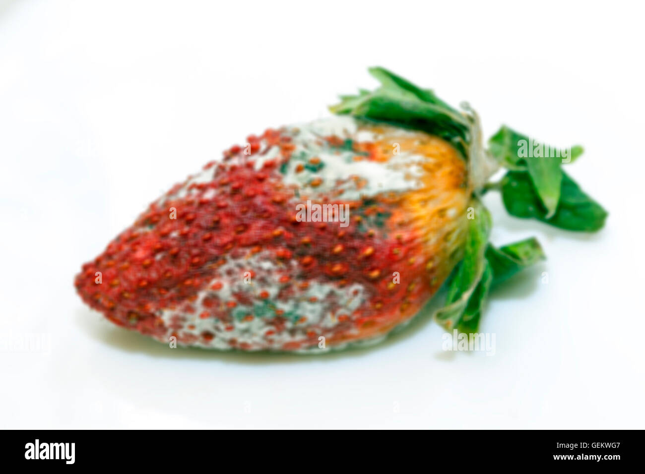 Moldy Strawberries Stock Photos & Moldy Strawberries Stock Images - Alamy