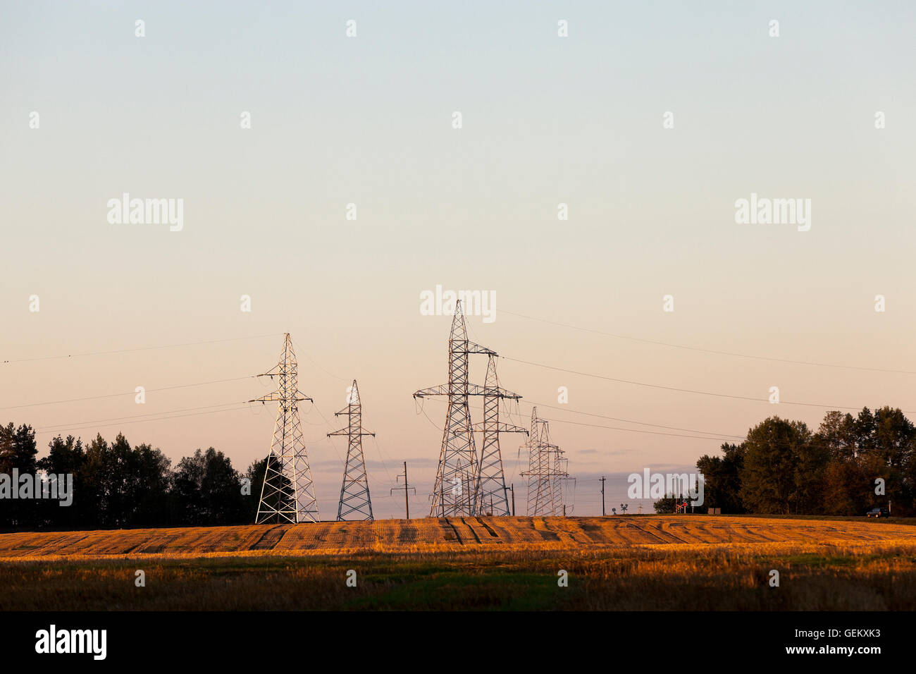 power poles in the field Stock Photo - Alamy