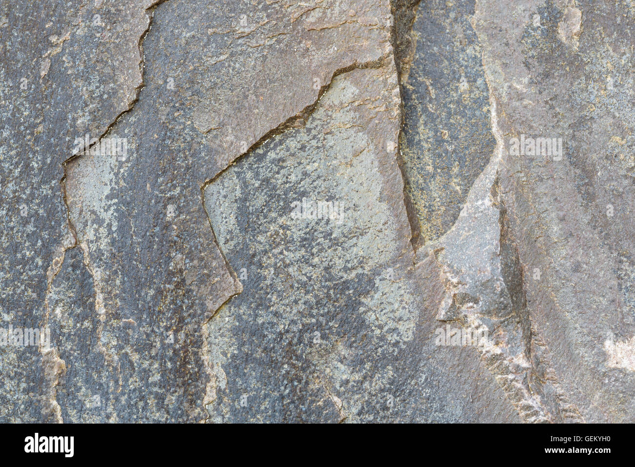 Close-up of pattern and texture in a large rock Stock Photo - Alamy