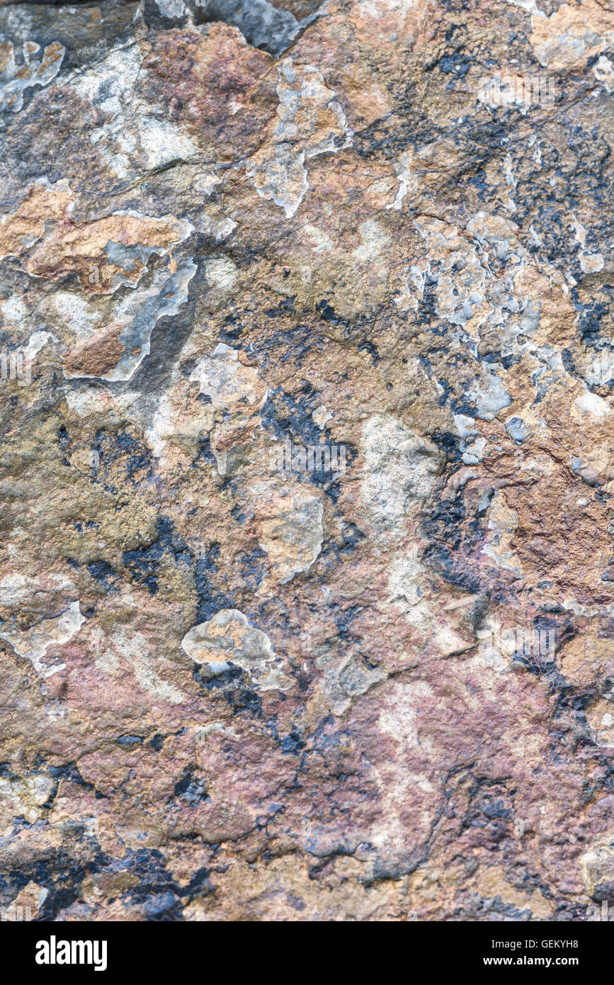 Close-up of pattern and texture in a large rock Stock Photo - Alamy
