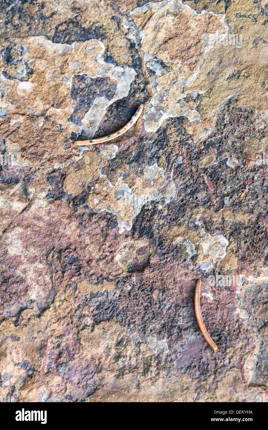Close-up of pattern and texture in a large rock Stock Photo - Alamy