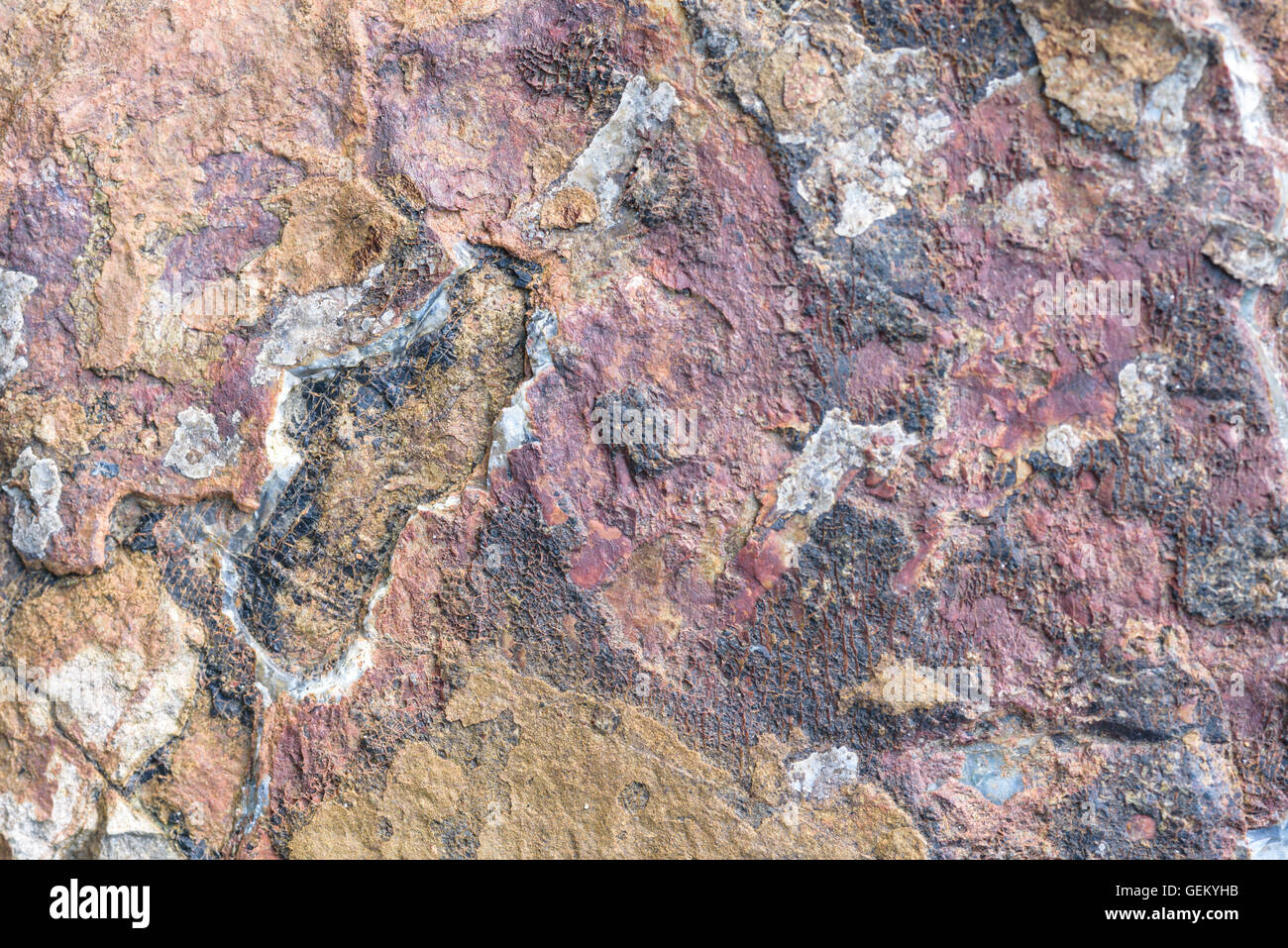 Close-up of pattern and texture in a large rock Stock Photo - Alamy