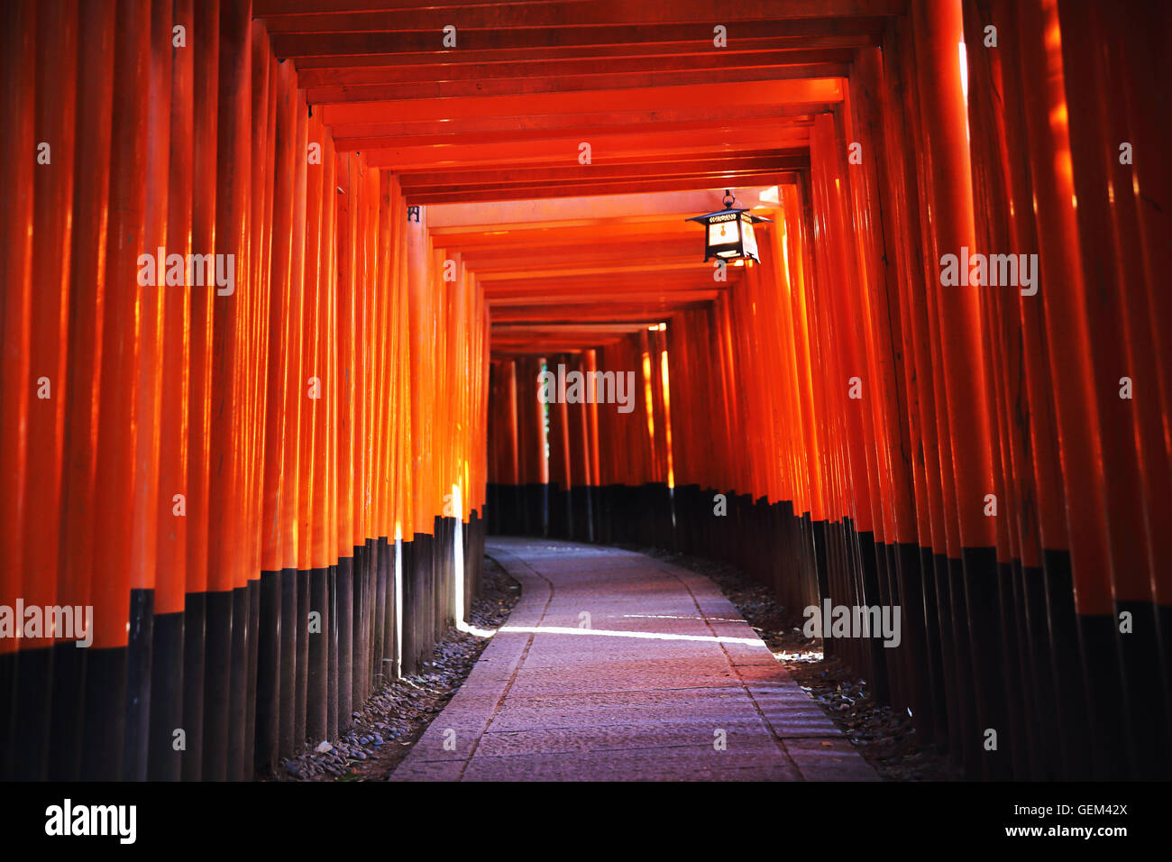 Red Tori Gate at Fushimi Inari Shrine in Kyoto, Japan Stock Photo - Alamy