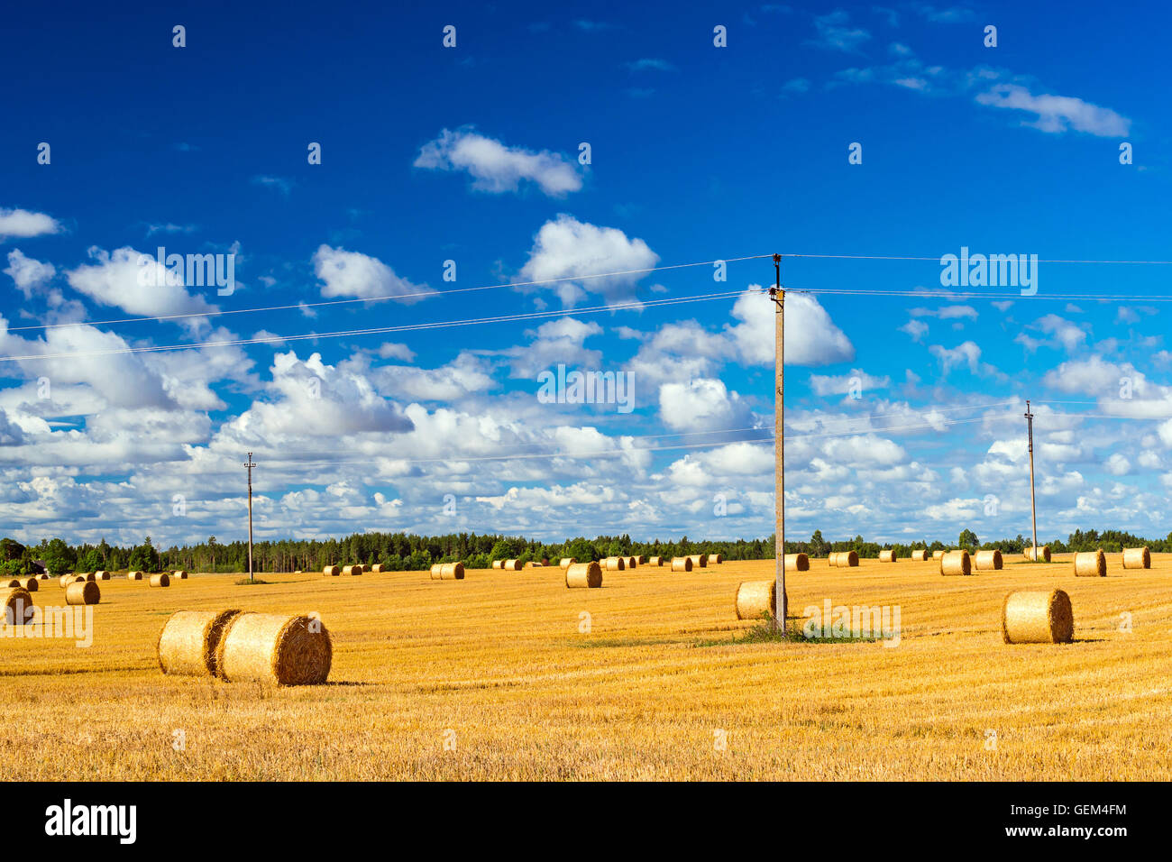 Stacks of straw - bales of hay, rolled into stacks left after ...