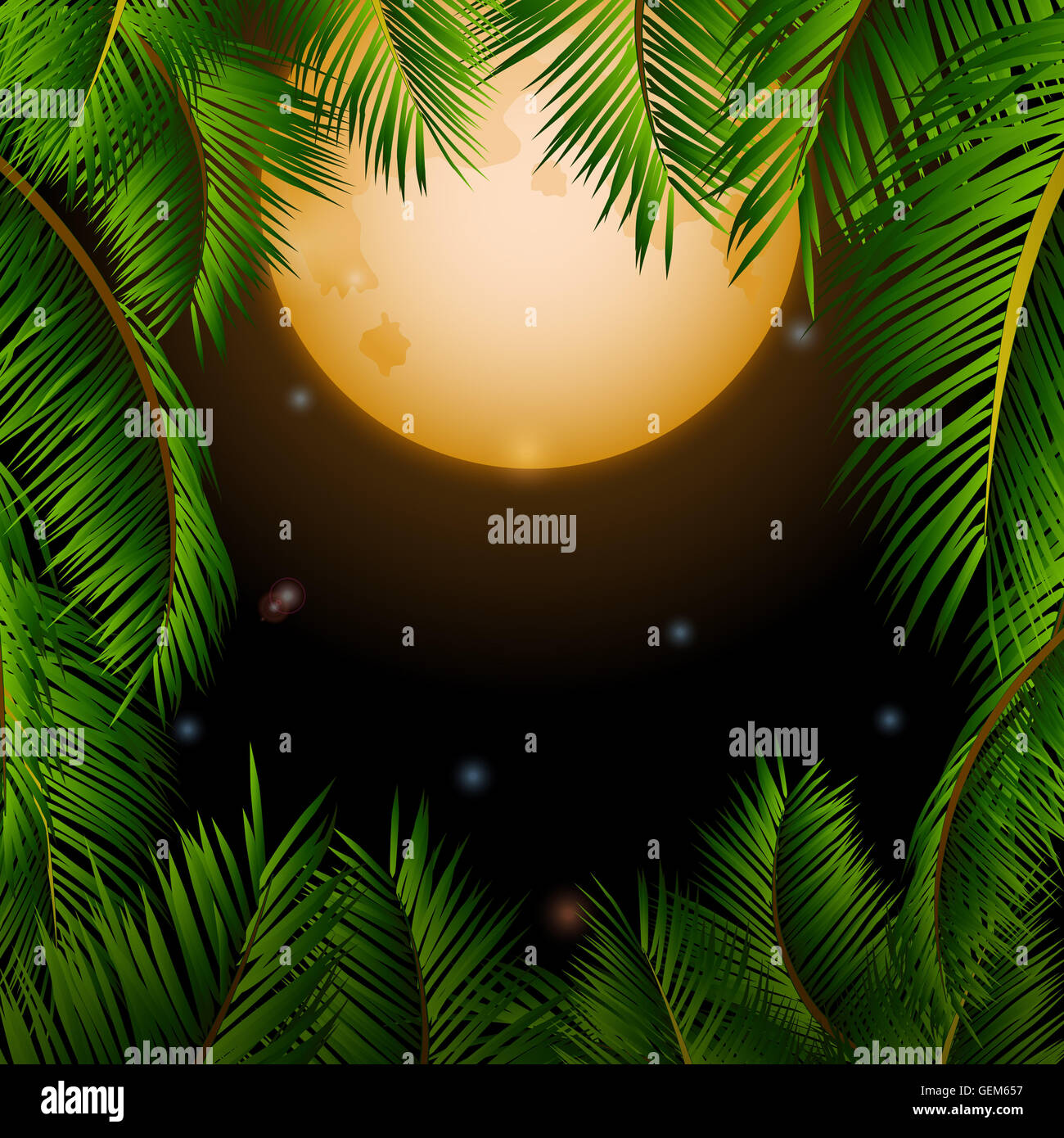 Big Tropical Moon Over Night Sky with Stars and a Frame of Palm Trees ...