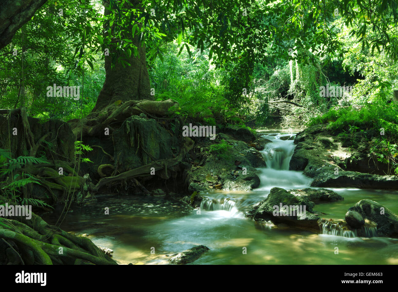 panorama view of nice waterfall and pond in green tropical environment ...