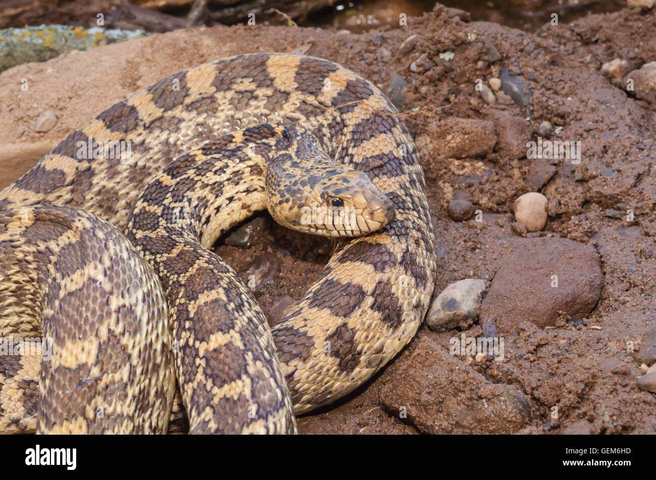 Southeastern alberta hi-res stock photography and images - Alamy
