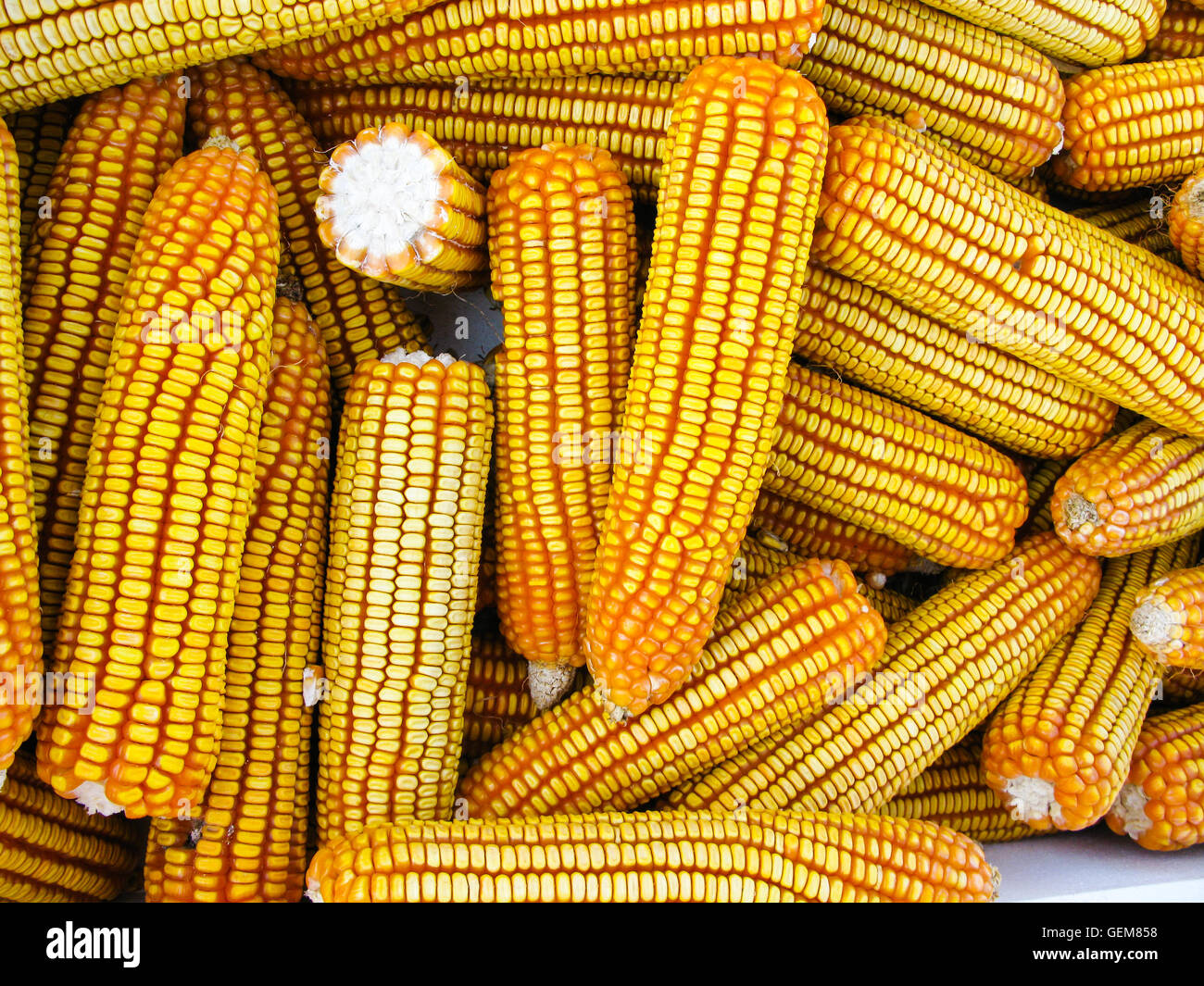 Fake farm food hi-res stock photography and images - Alamy