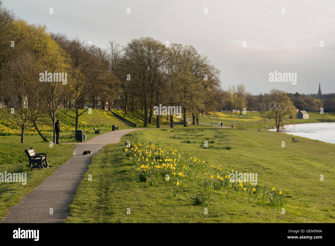 Footpath Along the Banks of the River Dee on a Sunny Morning in ...
