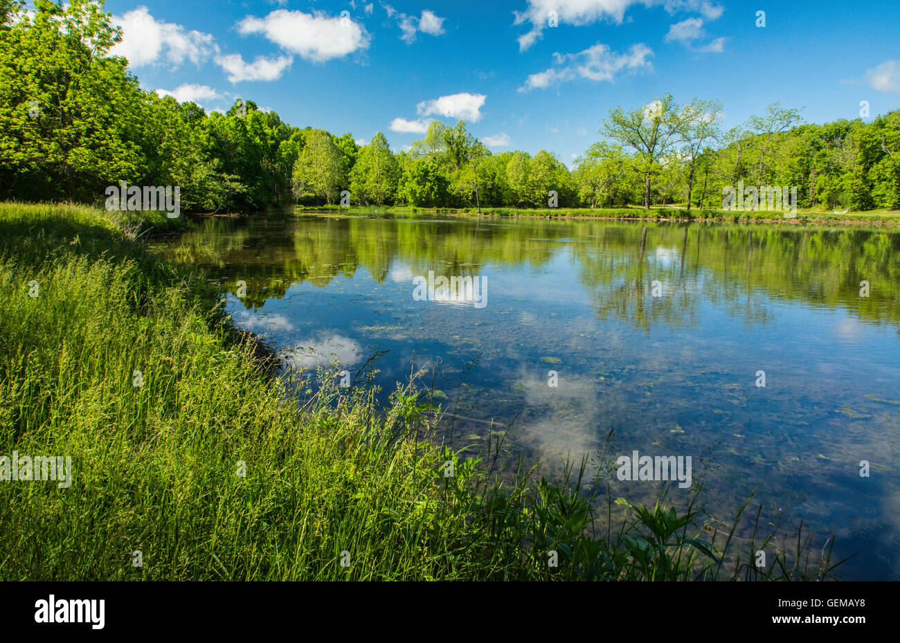 Spring fed pond hi-res stock photography and images - Alamy