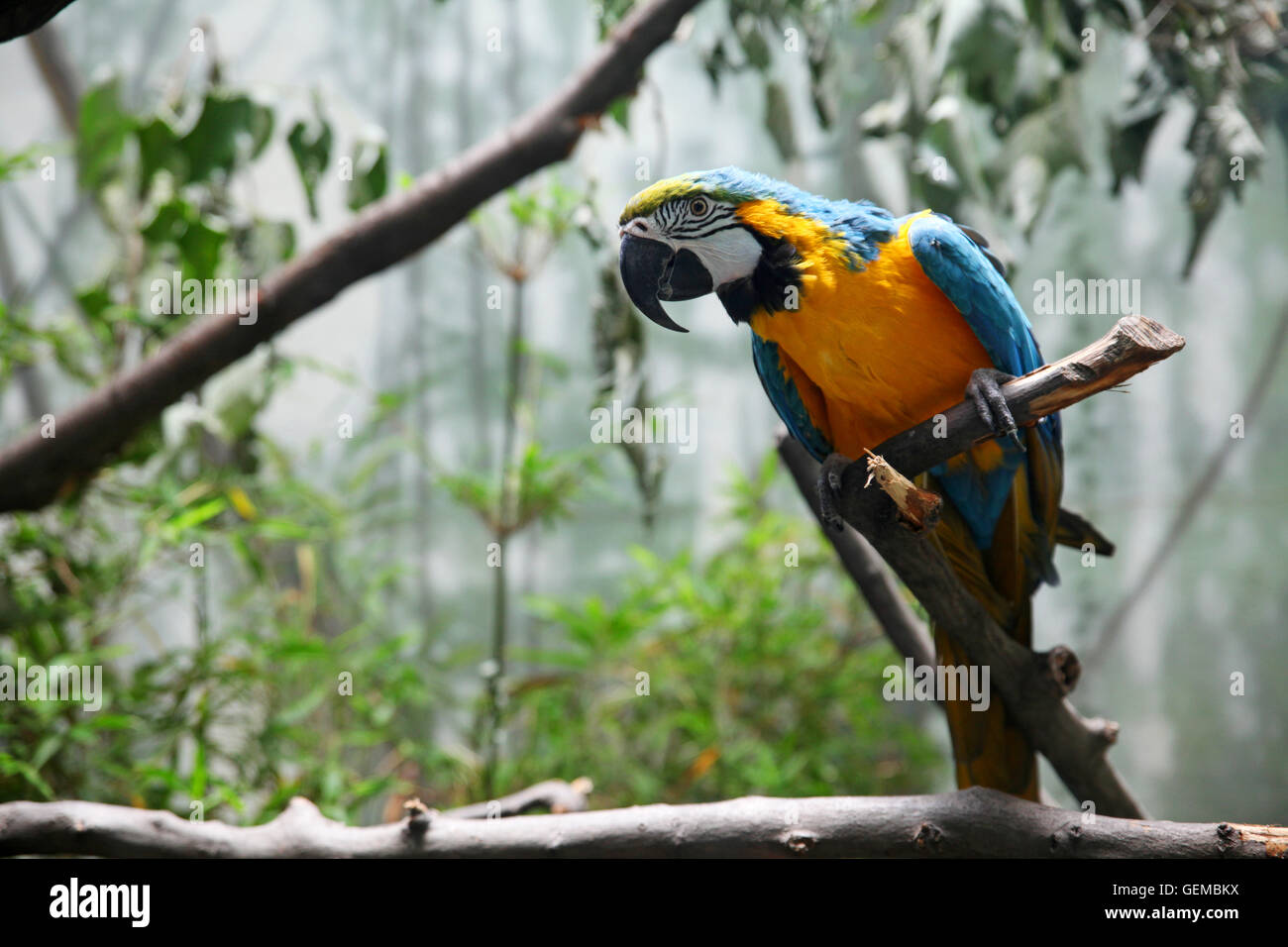 Zoo Parrot A Birthday Day Out At Bristol Zoo | Welsh Mum Of One