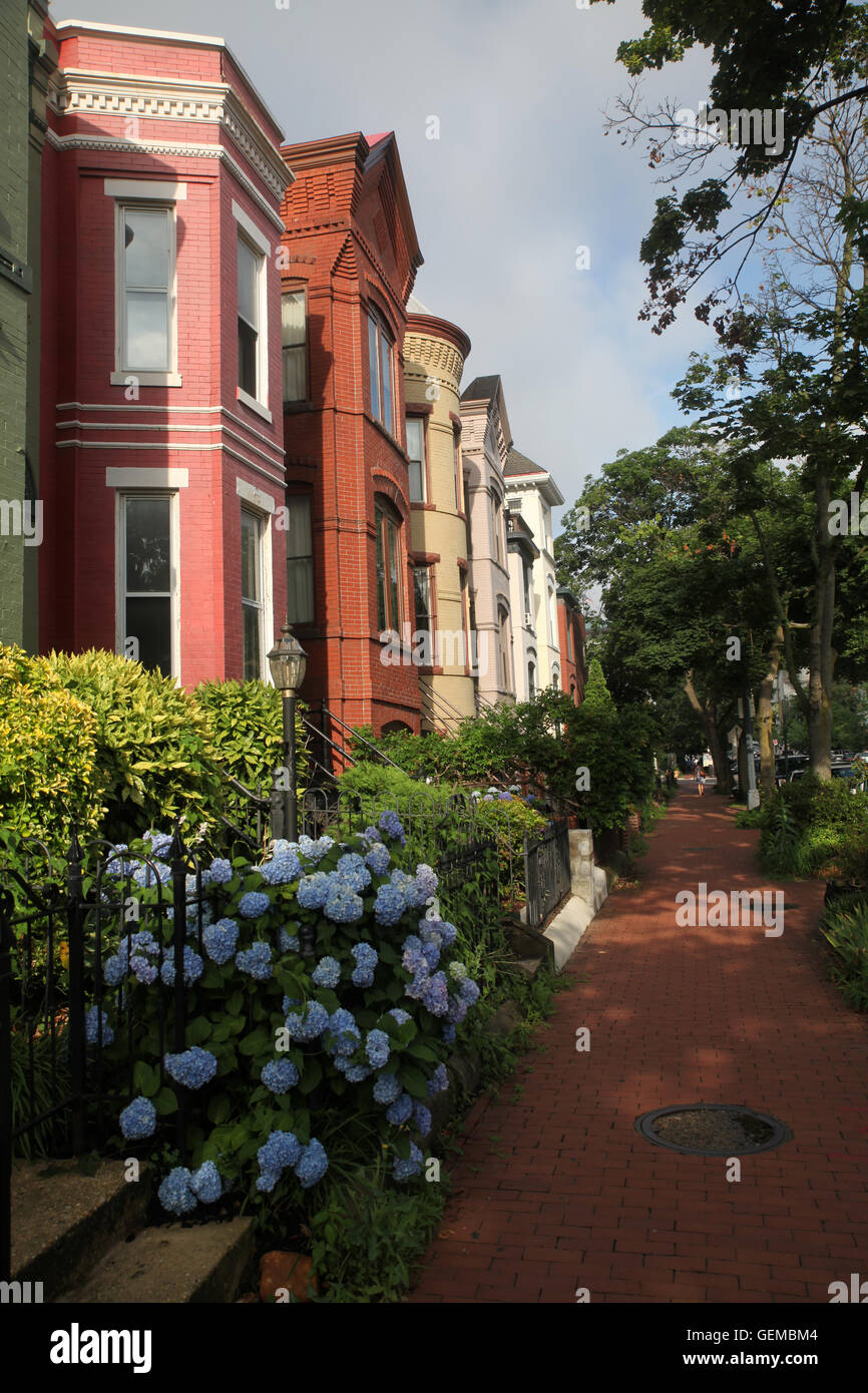 Beautiful neighborhood in Washington D.C., USA Stock Photo - Alamy