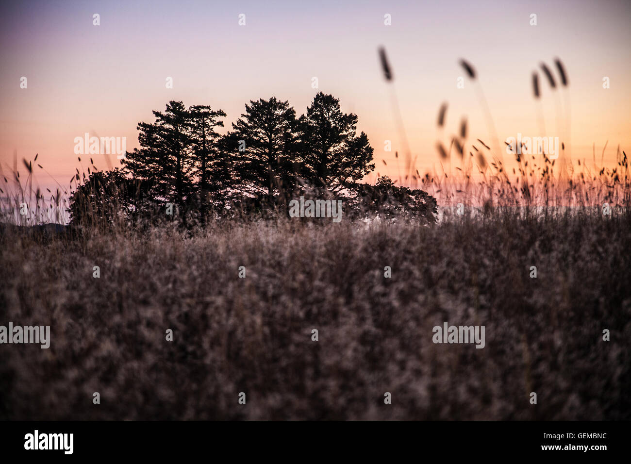 Russian ridge hi-res stock photography and images - Alamy