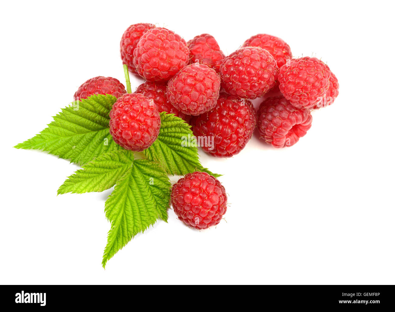 Ripe raspberry with leaf on white background Stock Photo - Alamy