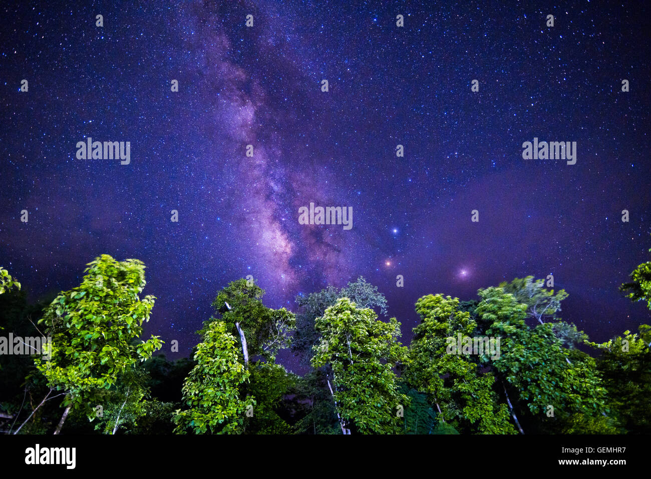 The Milky Way and some trees Stock Photo - Alamy