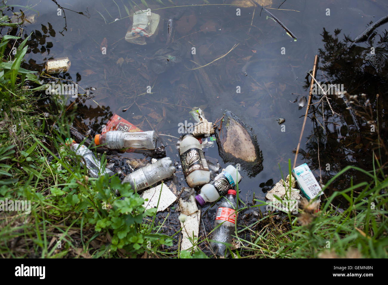 Pond waterway lake environment pollute pollution hi-res stock ...
