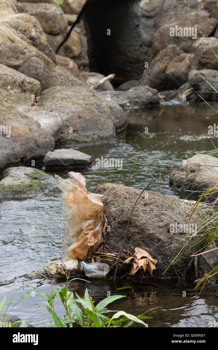 Clogging of waterways hi-res stock photography and images - Alamy