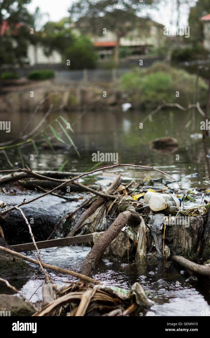 Garbage and rubbish clogging up the waterways of Melbourne Stock Photo ...