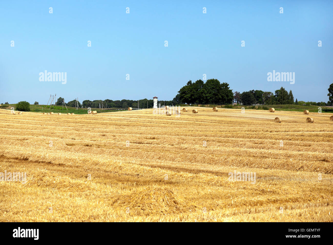 farm field cereals Stock Photo - Alamy