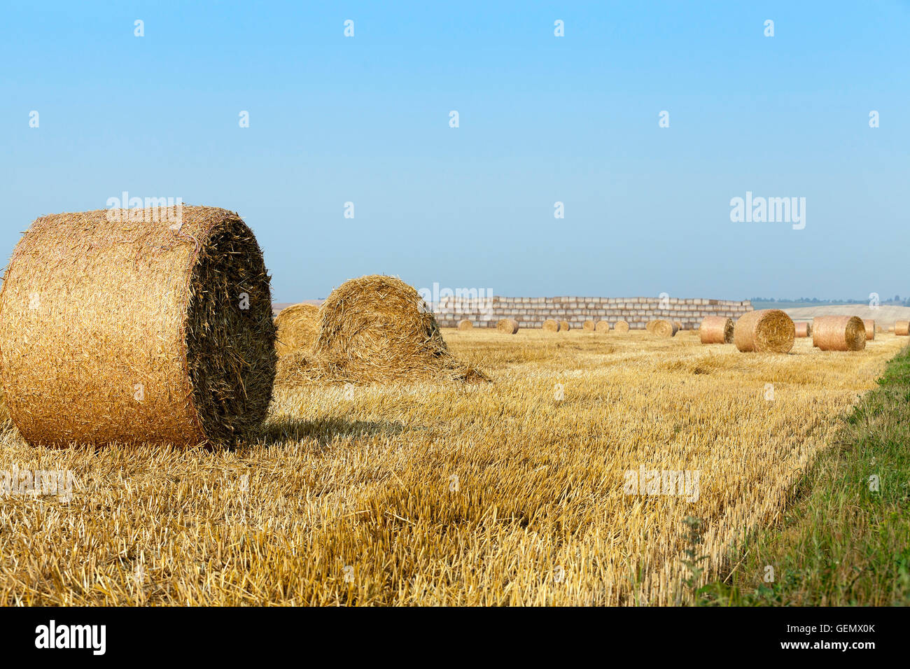 stack of straw in the field Stock Photo - Alamy